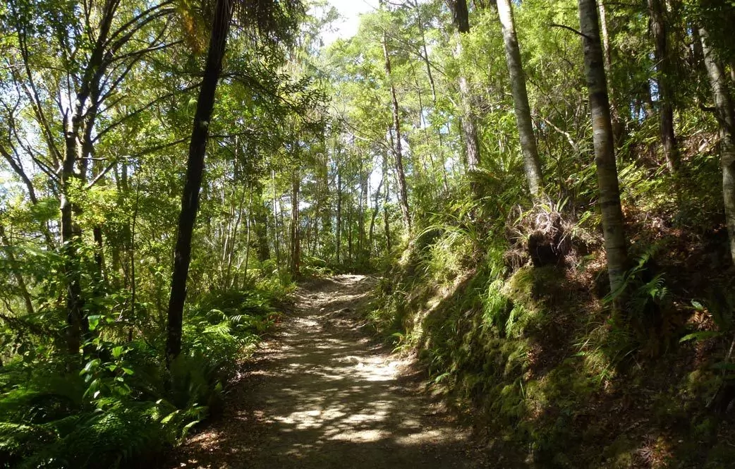 Prevent blisters NZ How to stop blisters on feet with Hikerswool